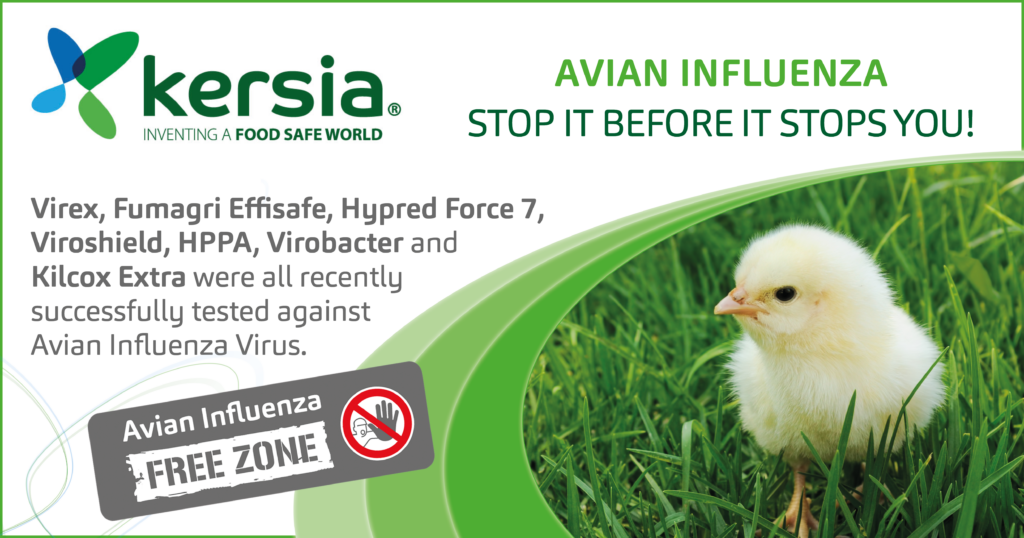 AVIAN INFLUENZA – Stop it before it stops you! - Kersia Group