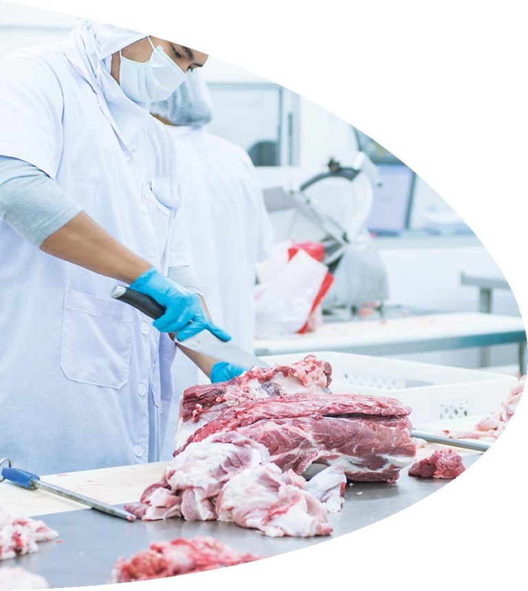 Meat Processing Industry and slaughterhouse - Kersia Group