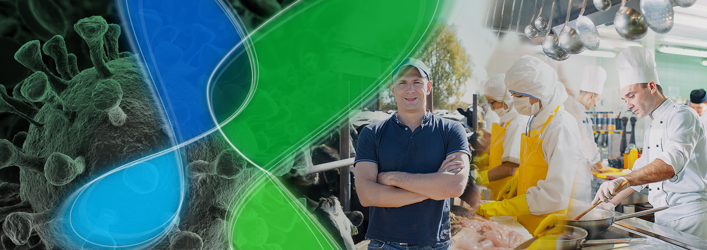 Página inicial - Kersia Group