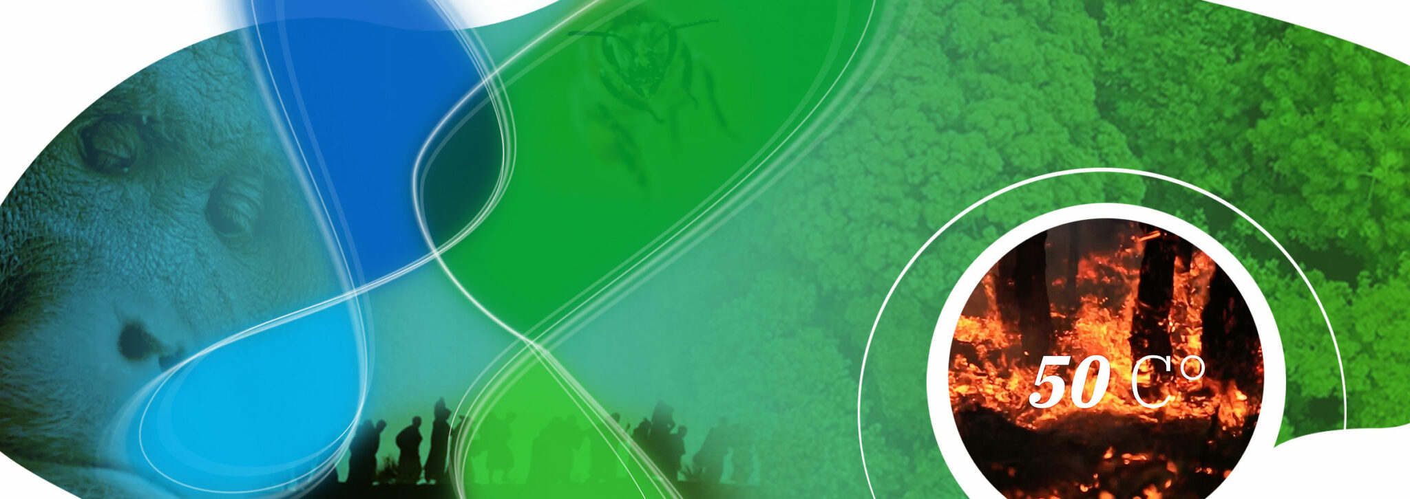 Accueil - Kersia Group