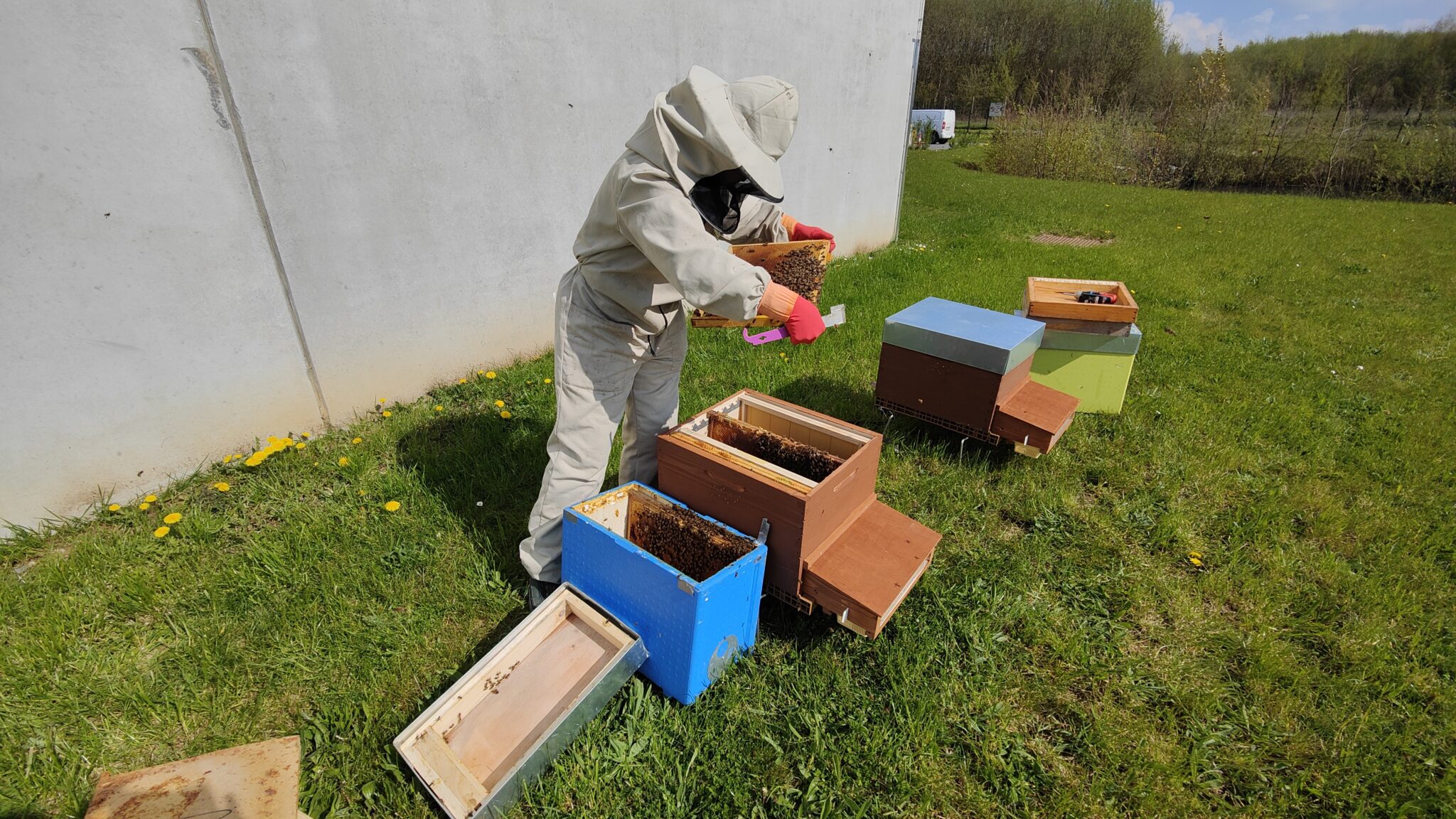 Kersia pledges to make a positive impact on the environment through a ...