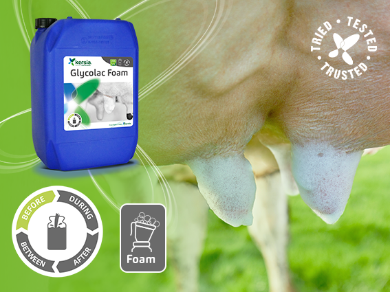 Discover our new Glycolac Range for Udder Hygiene - Kersia Group