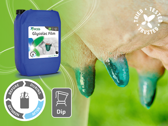 Discover our new Glycolac Range for Udder Hygiene - Kersia Group